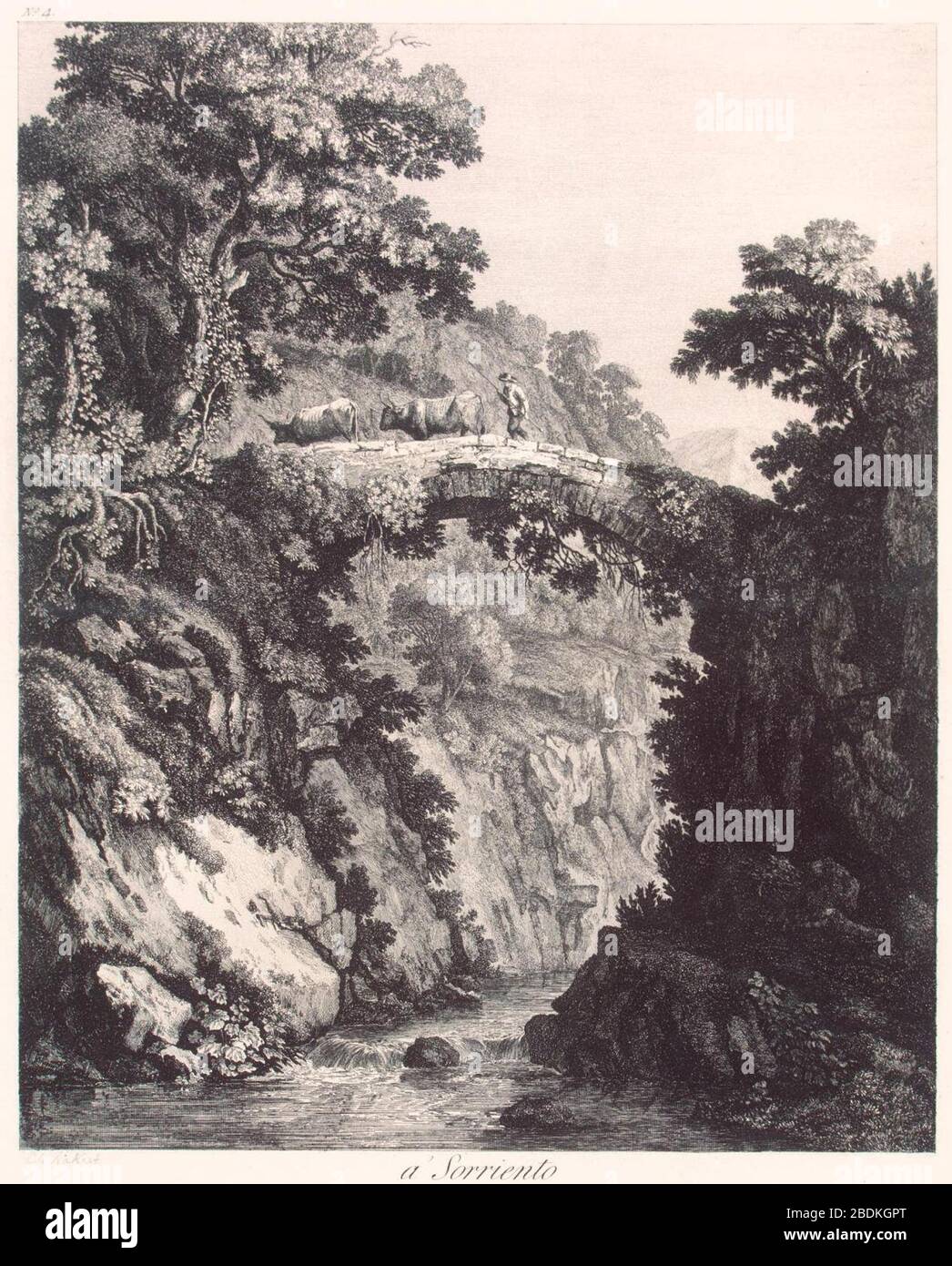 Georg hackert hi-res stock photography and images - Alamy