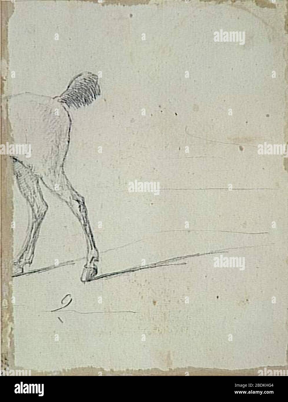 Croupe hi-res stock photography and images - Alamy