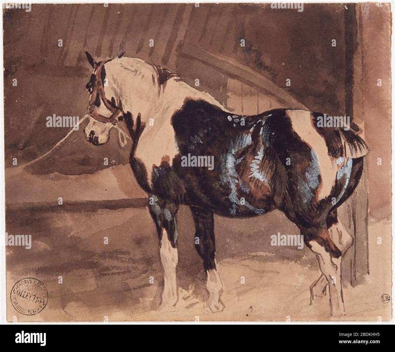 Cheval pie hi-res stock photography and images - Alamy