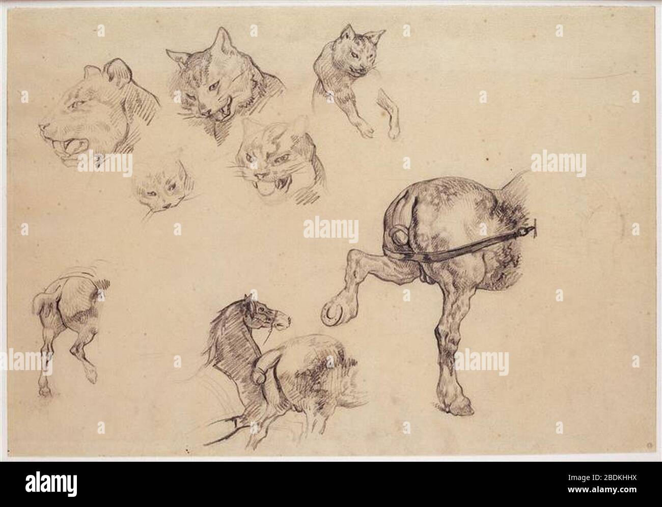 Géricault - Croupe de cheval de selle ; devant d'un cheval en couverte ...