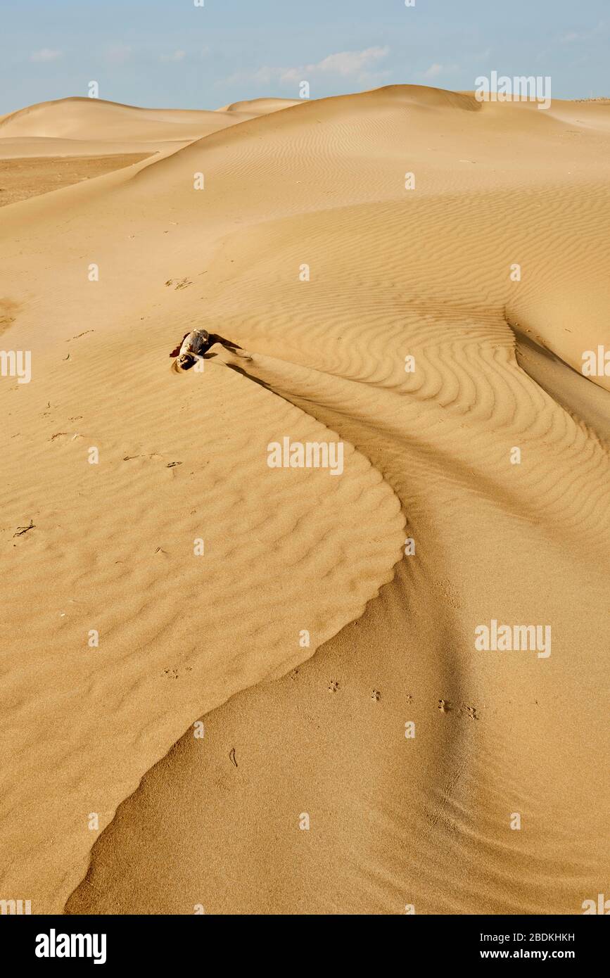 Dunes ebro river delta hi-res stock photography and images - Alamy