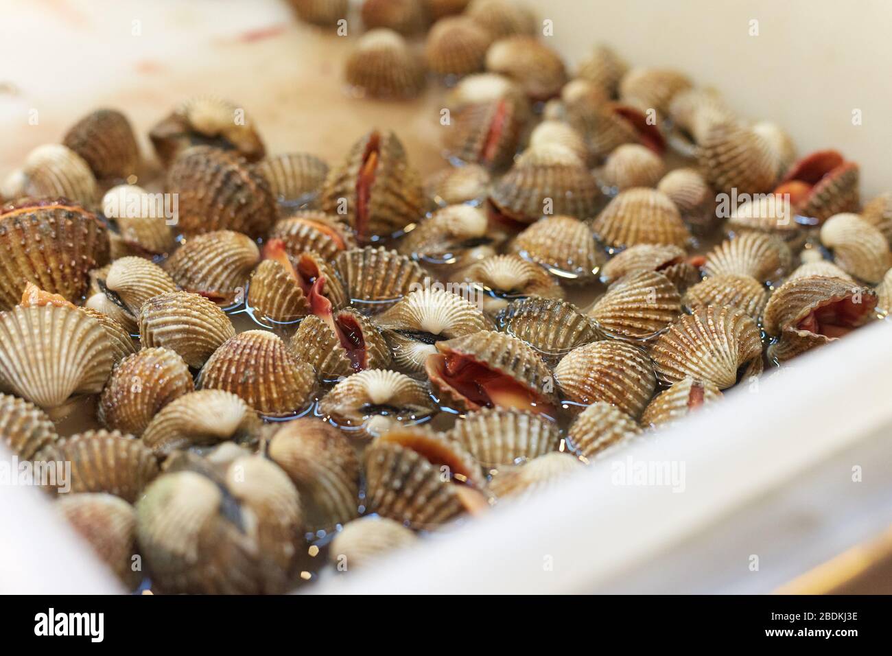 Marine small seashell closeup pile. Seafood Stock Photo - Alamy