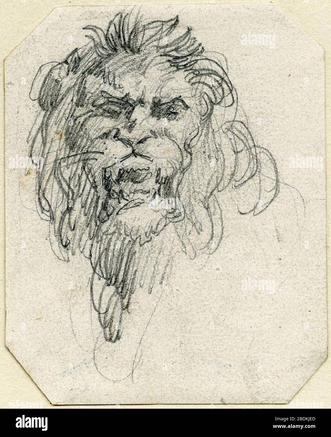 Géricault - Sketch of a lion's head, 1900,0613.11 Stock Photo - Alamy