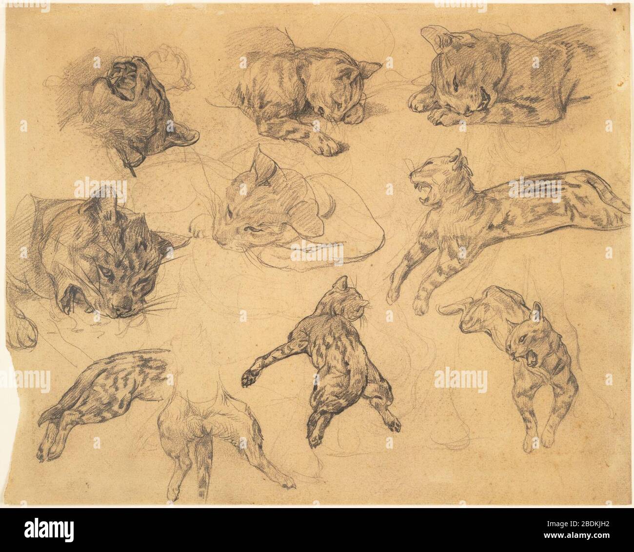 1820 1821 hi-res stock photography and images - Alamy