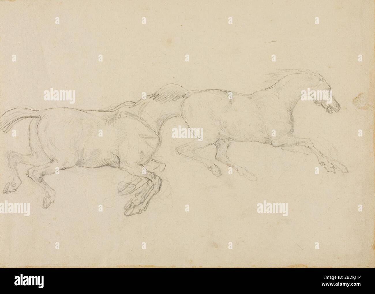 Horse Galloping In Field Drawing