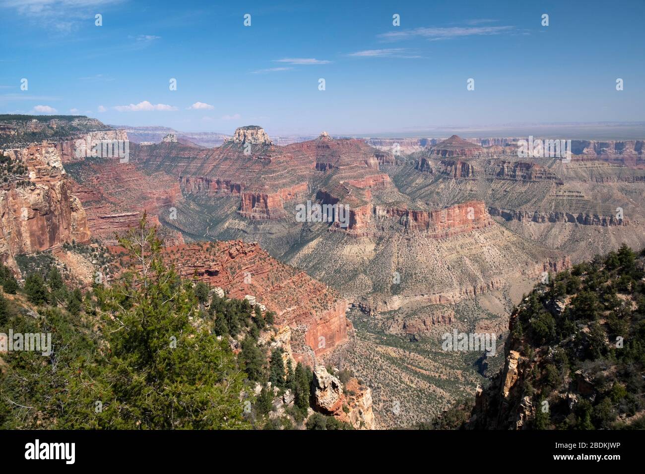 Landscape view of the Grand Canyon at the end of the Cape Final trail ...