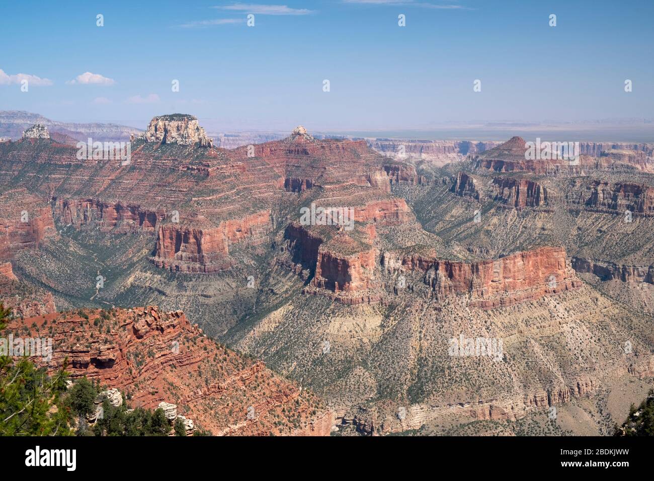 Landscape view of the Grand Canyon at the end of the Cape Final trail ...