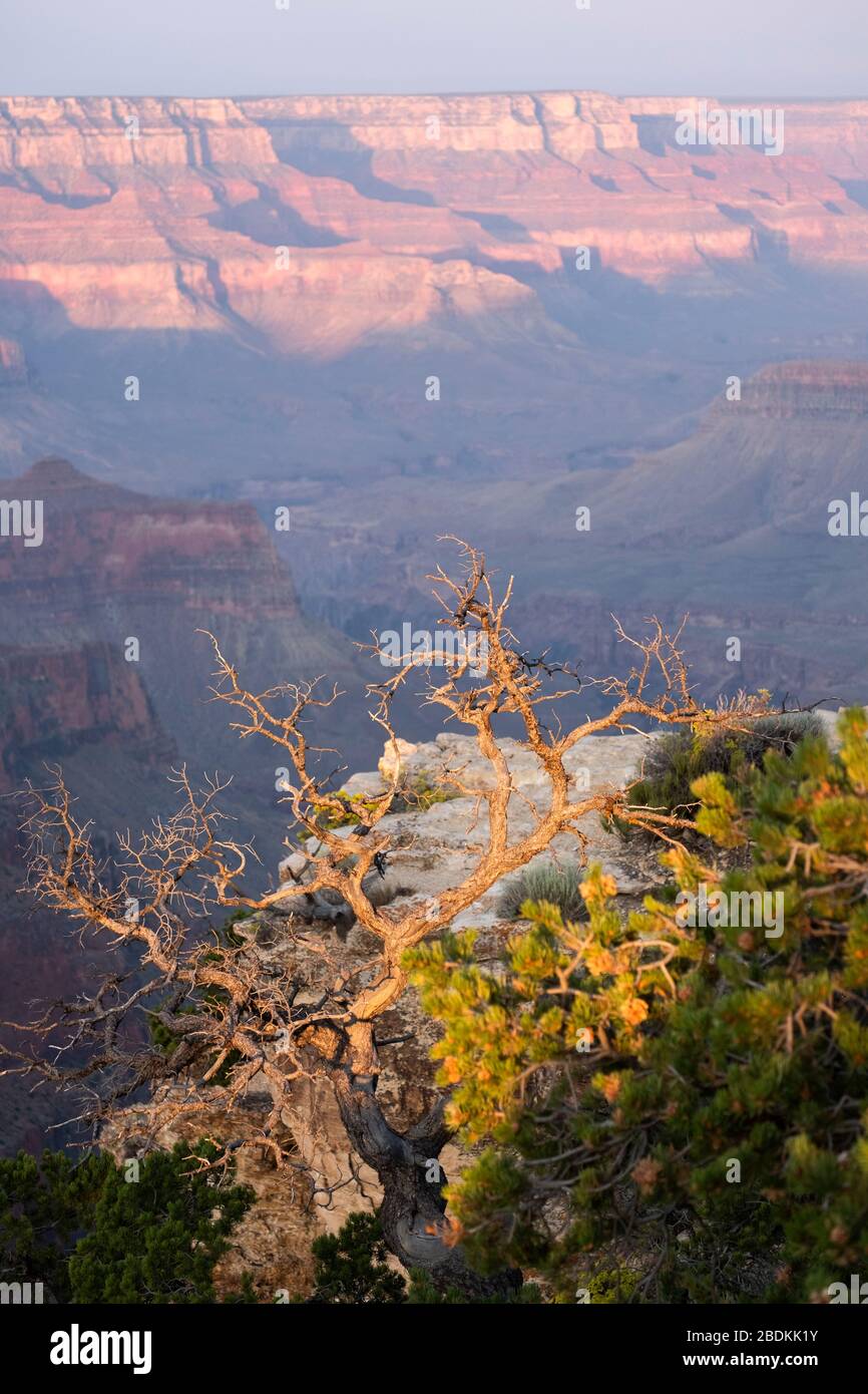 landcape photos of sunrise at Cape Royal, north rim of Grand Canyon ...