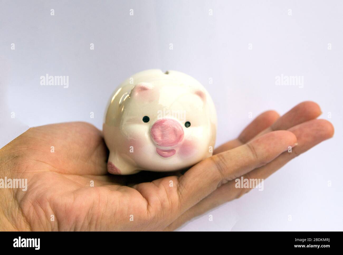 piggy save money concept, piggy bank on nature background, piggy save ...