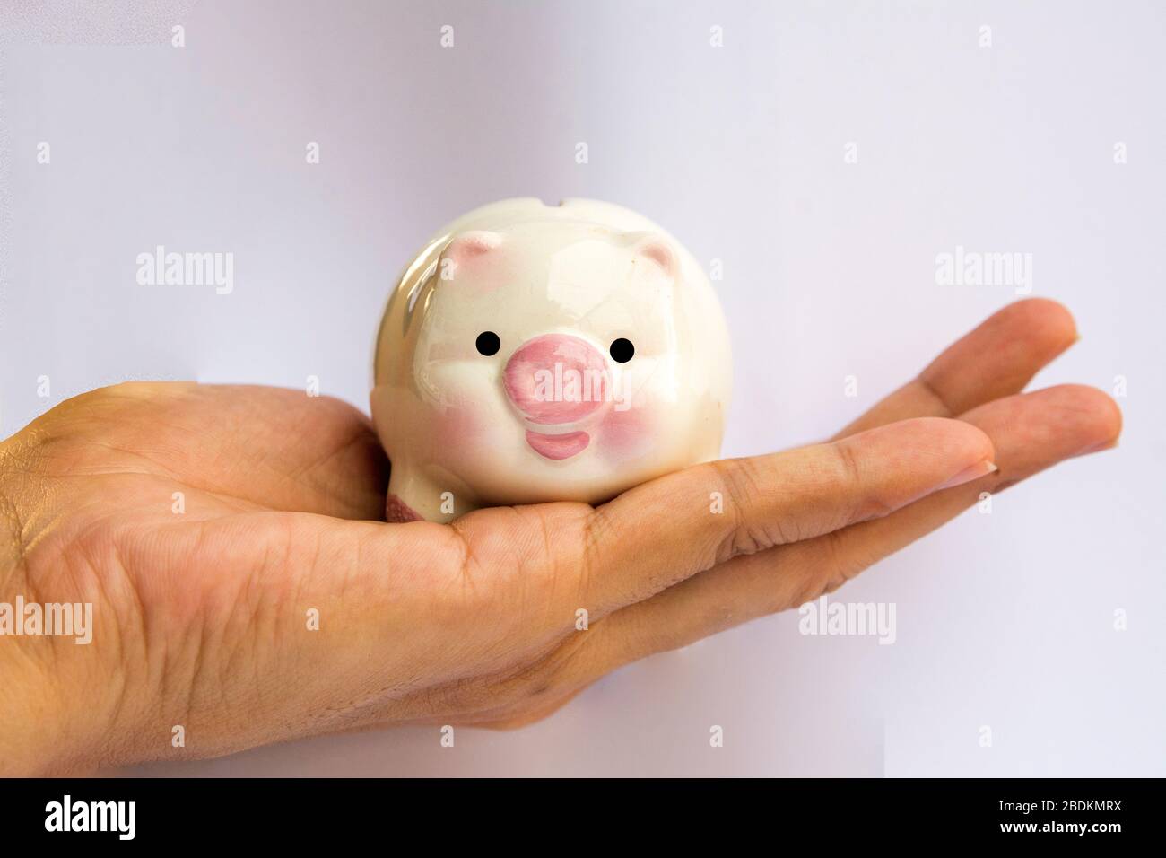 piggy save money concept, piggy bank on nature background, piggy save ...