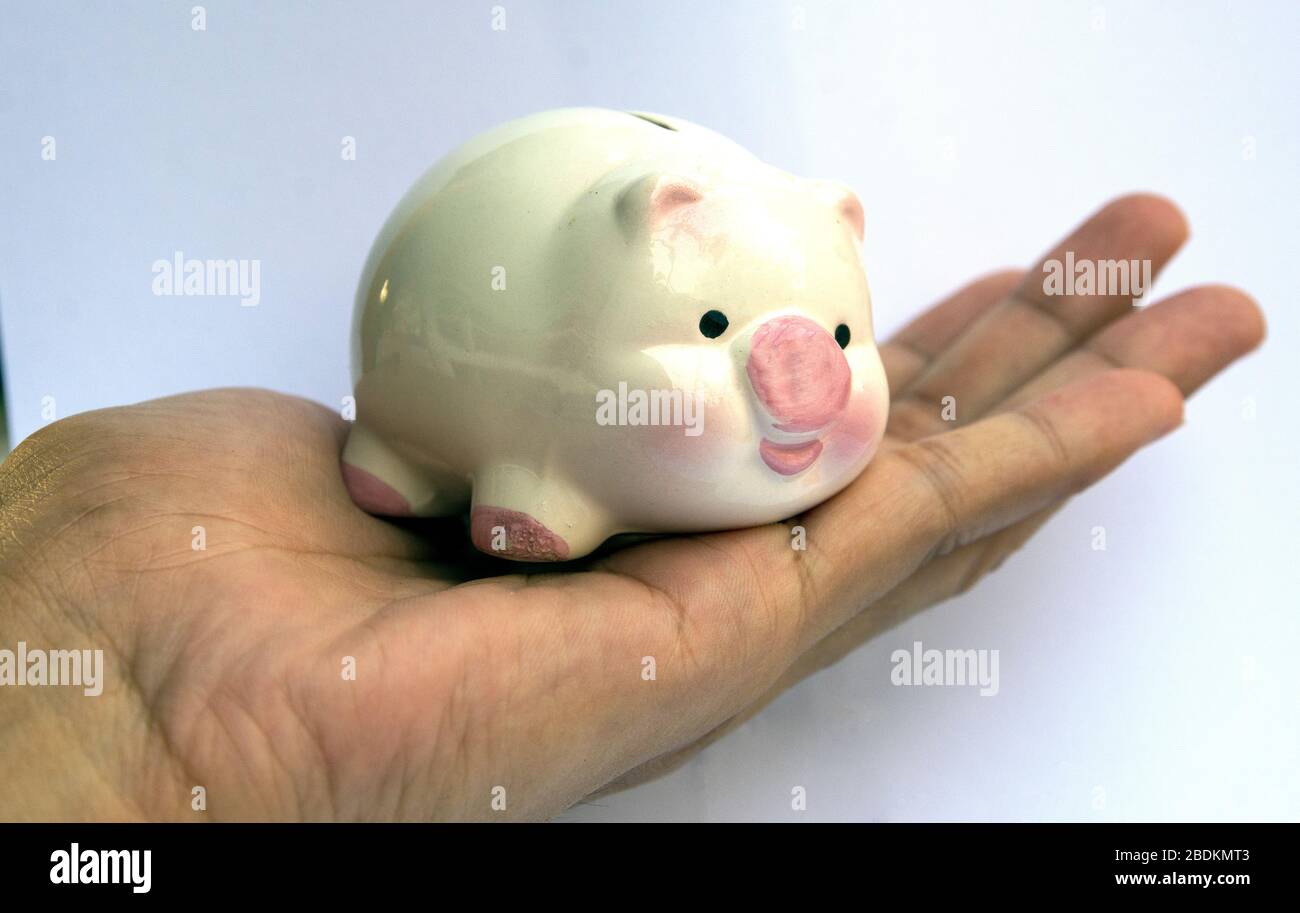 piggy save money concept, piggy bank on nature background, piggy save ...