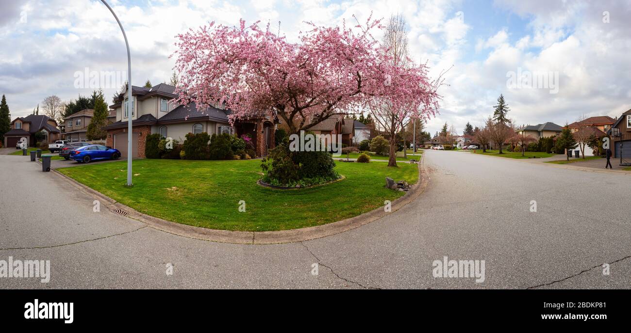 Beautiful Panoramic View of Homes in Residential Neighborhood Stock ...