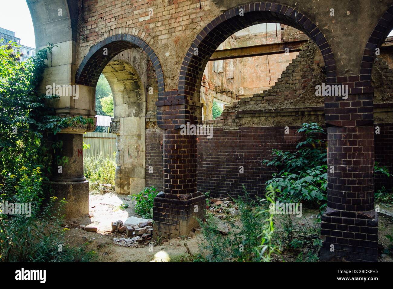 Overgrown by plants ruins of abandoned mansion Stock Photo - Alamy