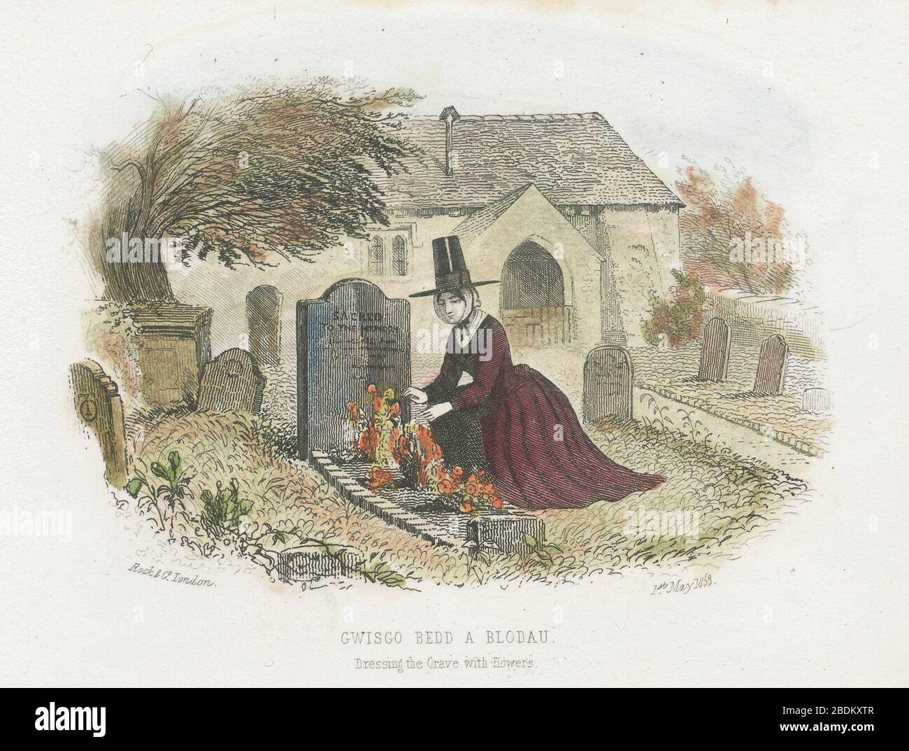 Blodau hi-res stock photography and images - Alamy