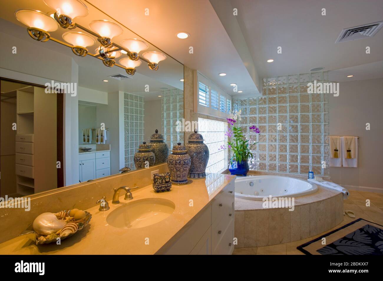 Mansion Master Bathrooms