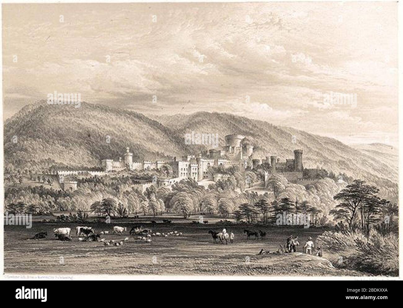 Gwrych Castle - the seat of Lloyd Hesketh Bamford Hesketh Esqrs Stock ...