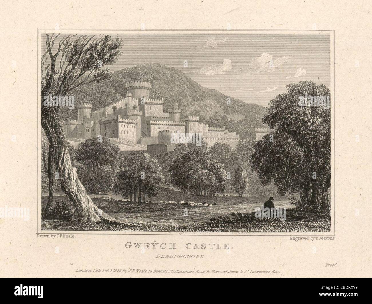 Gwrych Castle High Resolution Stock Photography and Images - Alamy