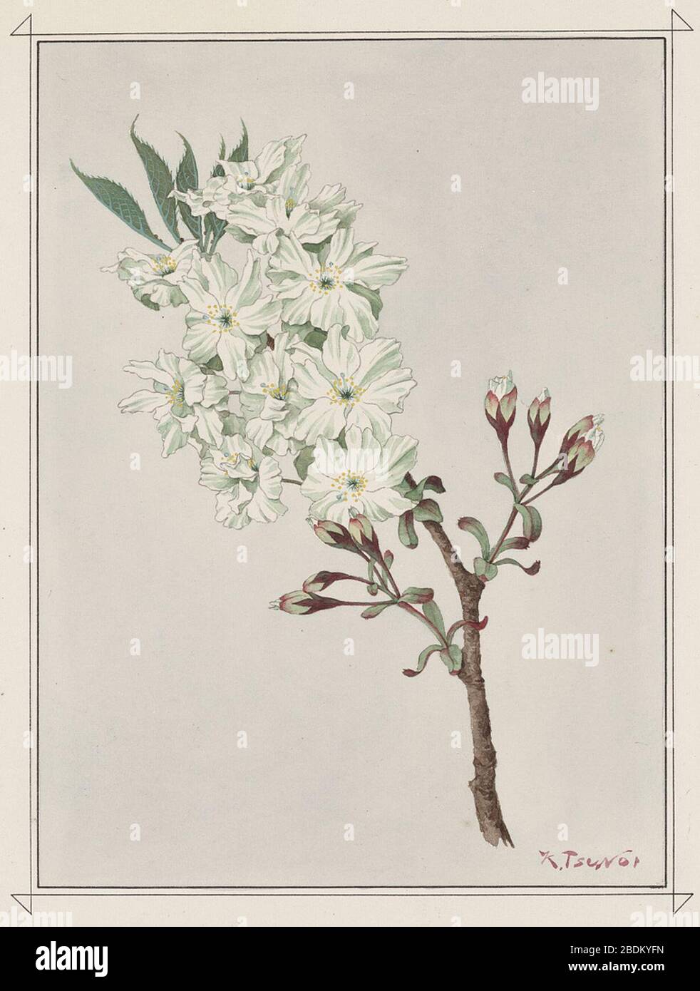 Gyoi hi-res stock photography and images - Alamy