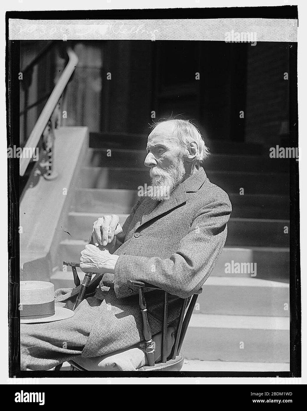 Pellow hi-res stock photography and images - Alamy