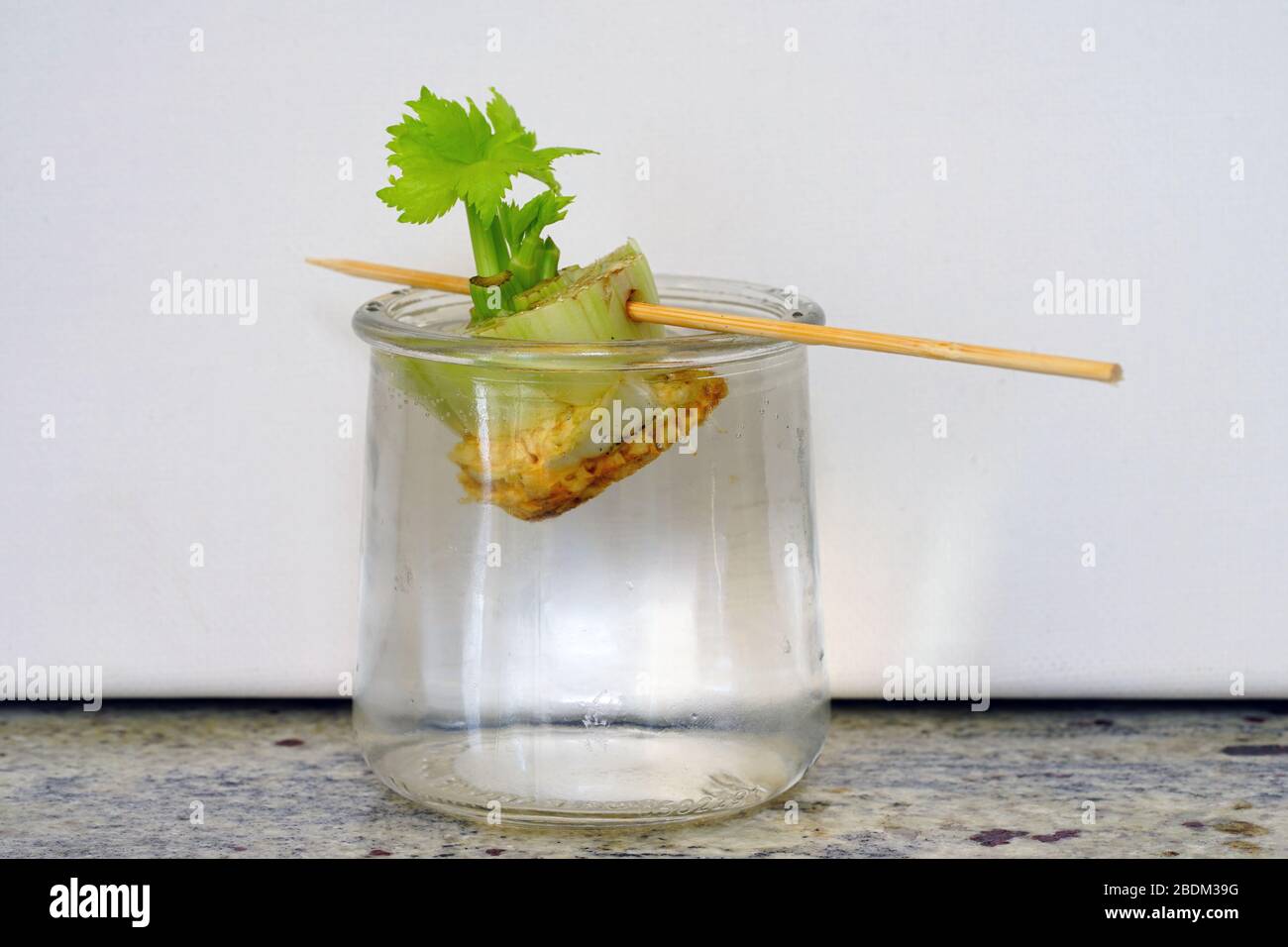 Rooting jar hi-res stock photography and images - Alamy
