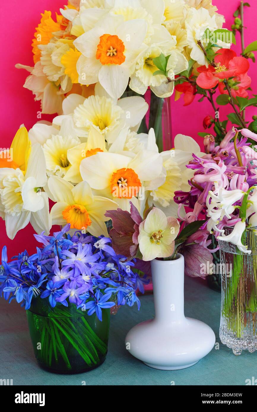 Bouquets of spring flowers in vases Stock Photo - Alamy