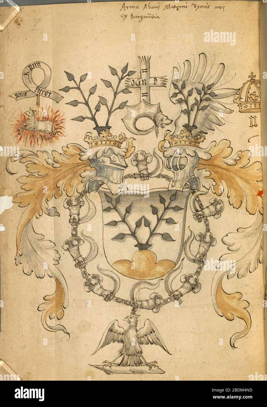 Bsb icon hi-res stock photography and images - Alamy