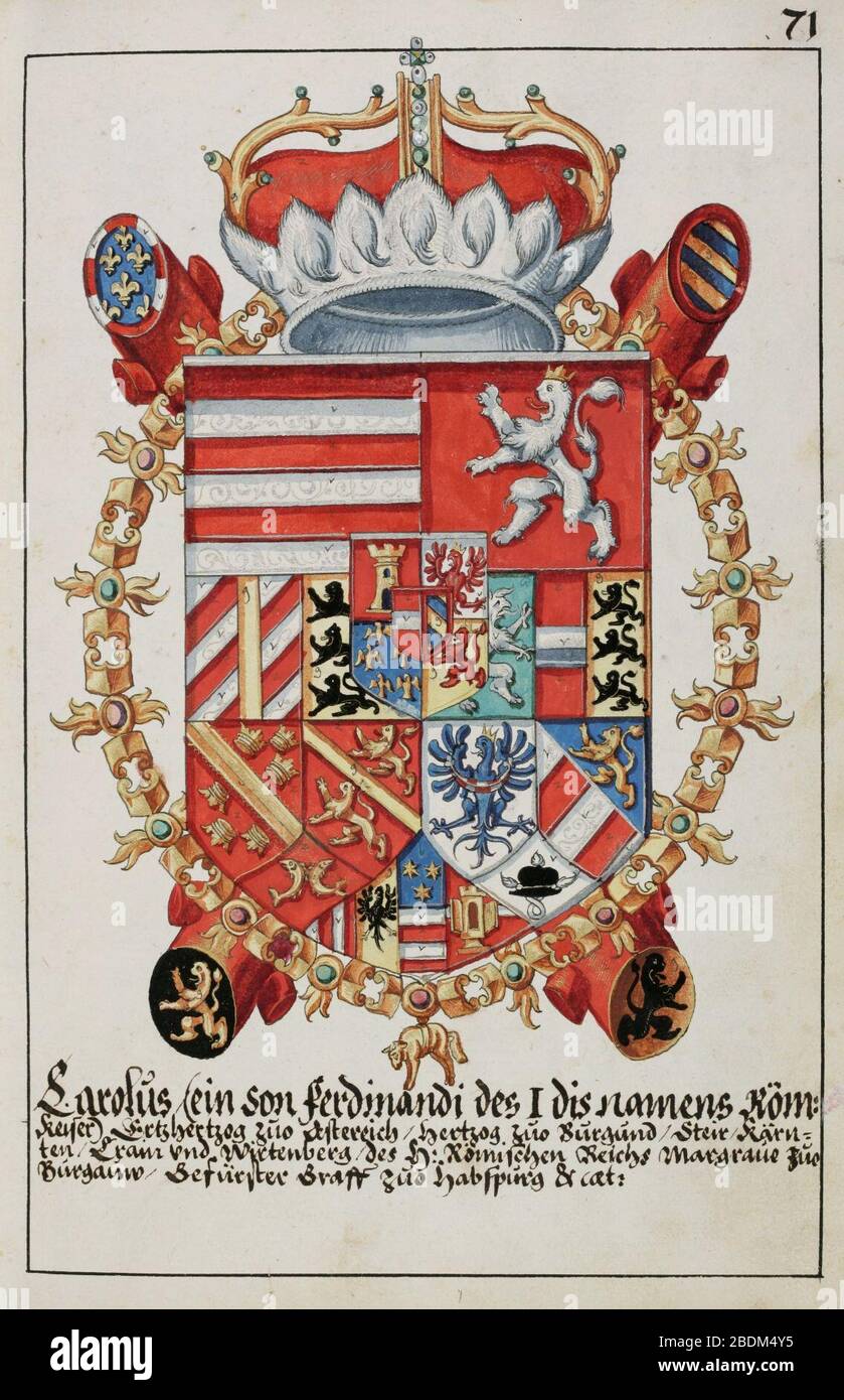 Habsburger Wappenbuch Fisch saa-V4-1985 071r Stock Photo - Alamy