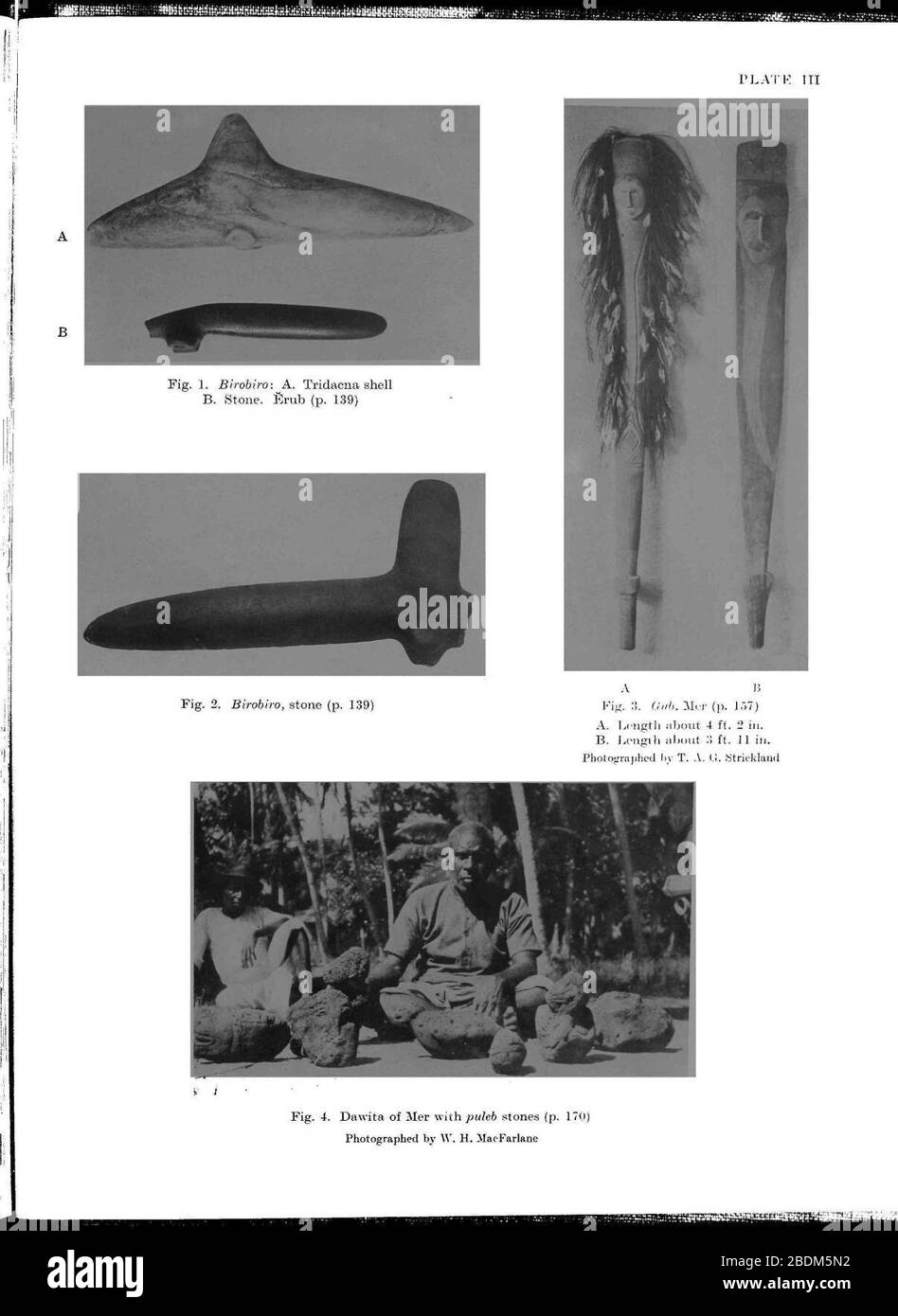 Haddon-Reports of the Cambridge Anthropological Expedition to Torres ...