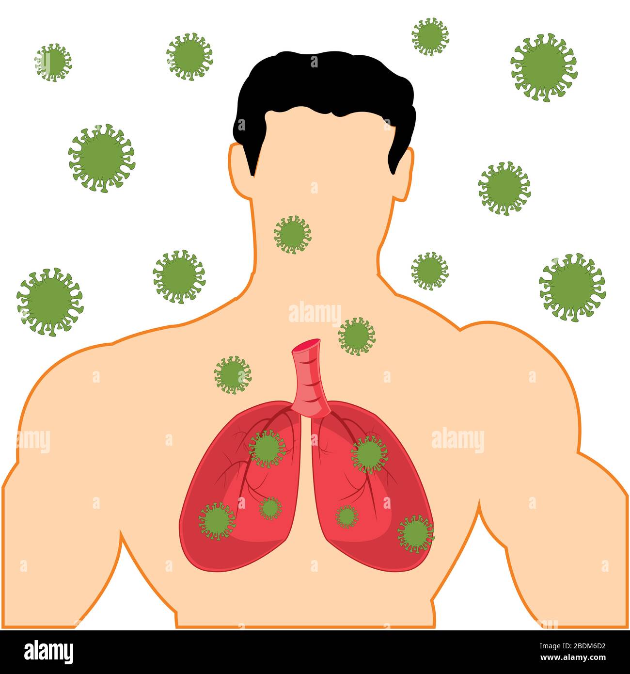 Infected organs Stock Vector Images - Alamy