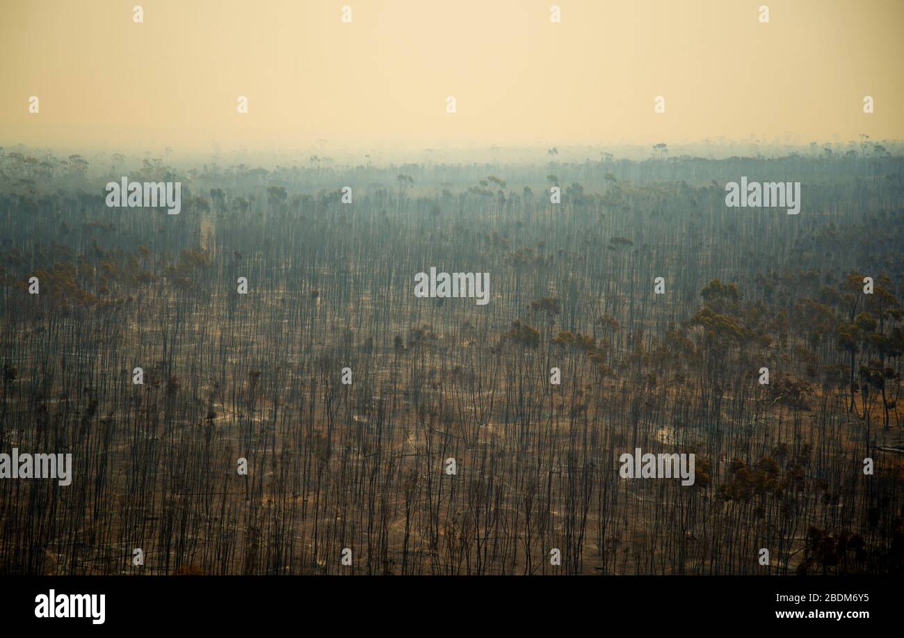 Smoke wild fire bush hi-res stock photography and images - Alamy