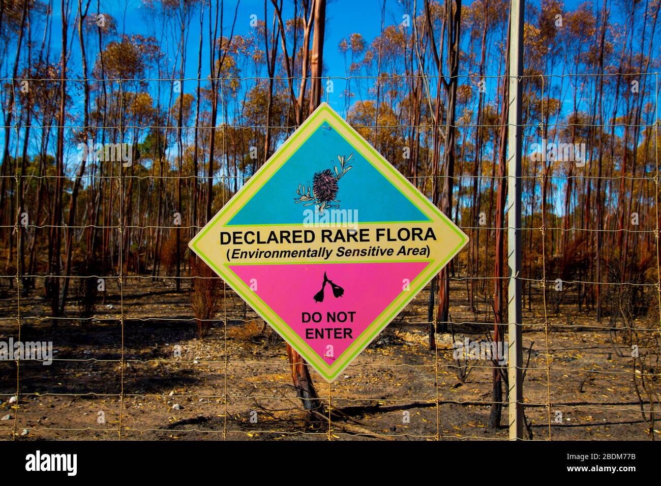 Conservation flora hi-res stock photography and images - Alamy