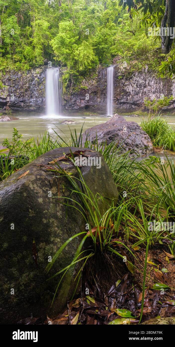 A vertical panorama of lush, tropical rainforest and twin falls in the ...