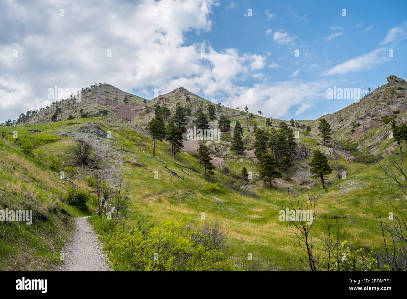 Bear butte state park dakota hi-res stock photography and images - Alamy