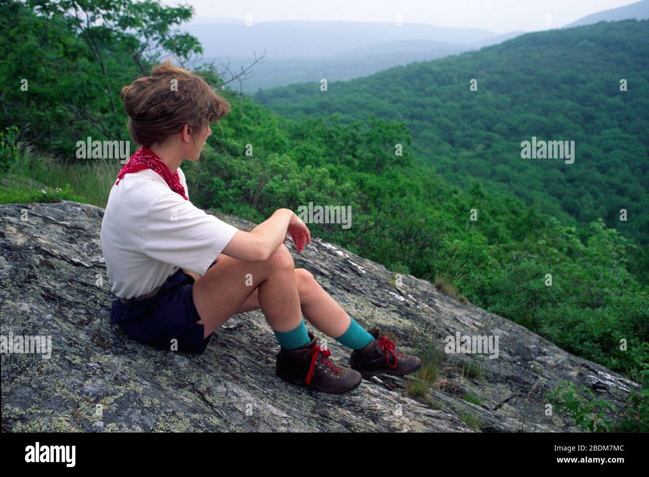 Mt washington state forest hi-res stock photography and images - Alamy