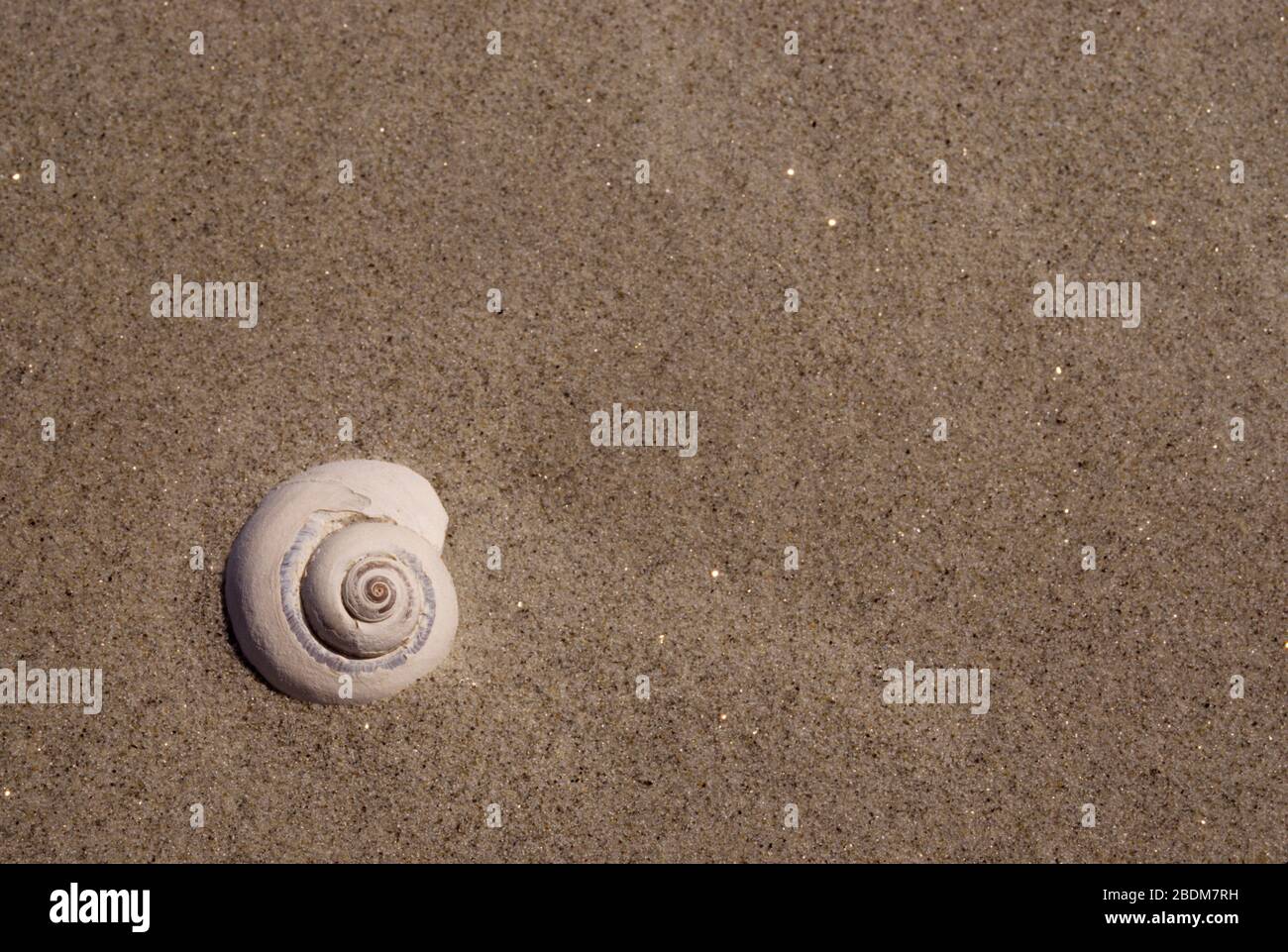 Moonshell, Crane Beach Reservation, Massachusetts Stock Photo - Alamy