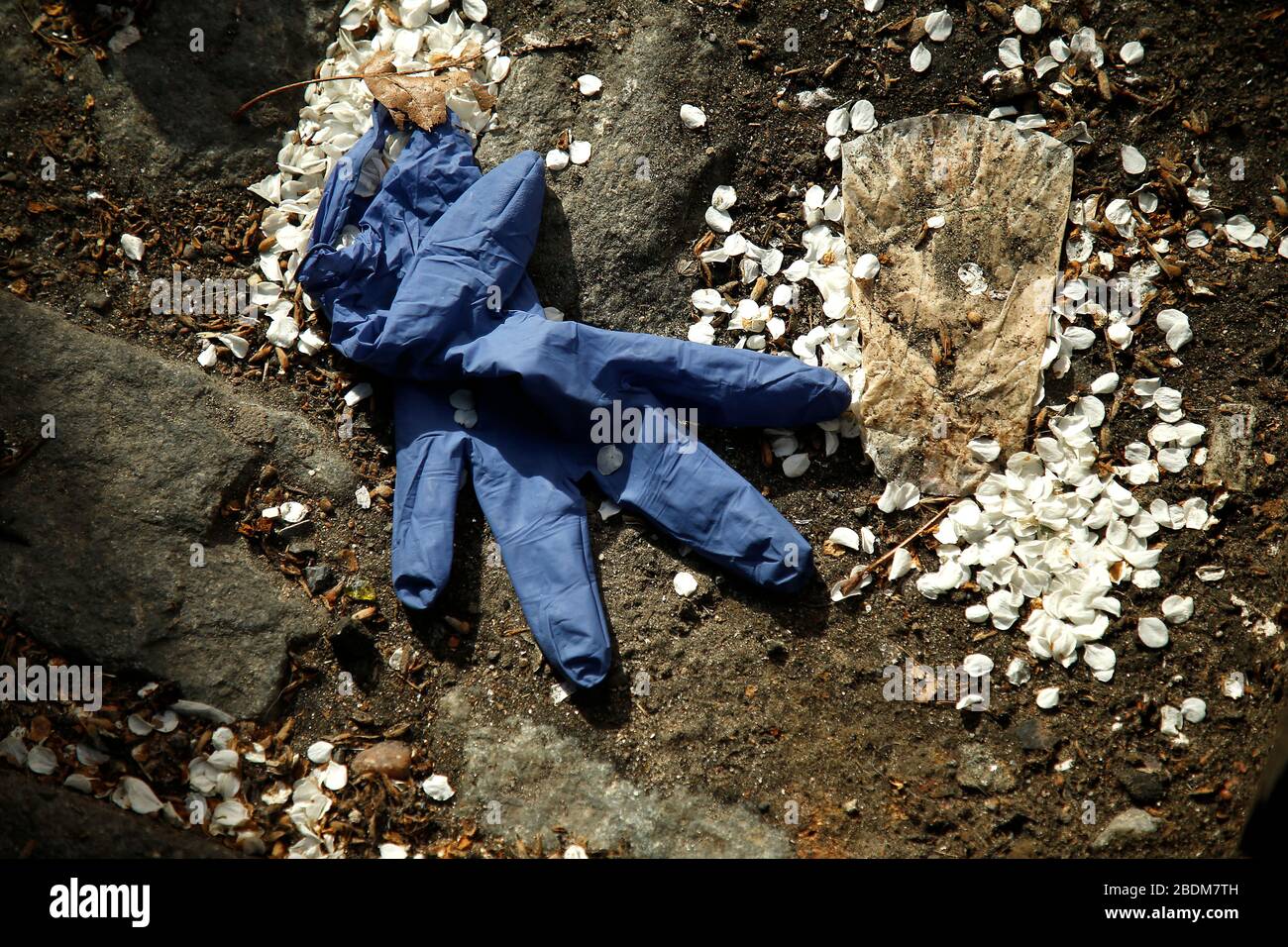 New York, United States. 07th Apr, 2020. Discarded examination gloves ...