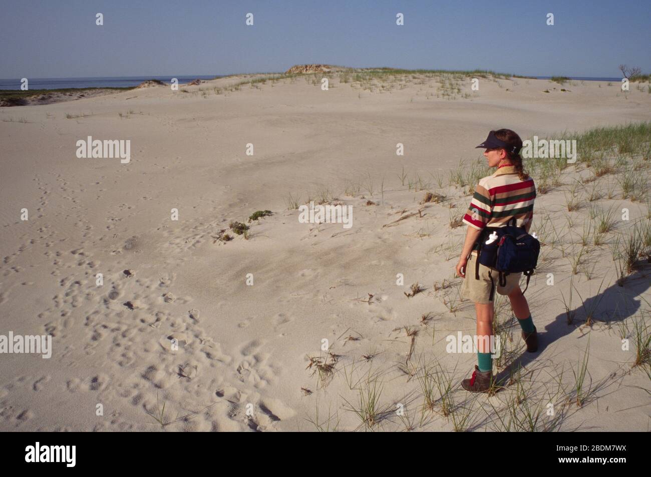 Dune trail, Crane Beach Reservation, Massachusetts Stock Photo - Alamy
