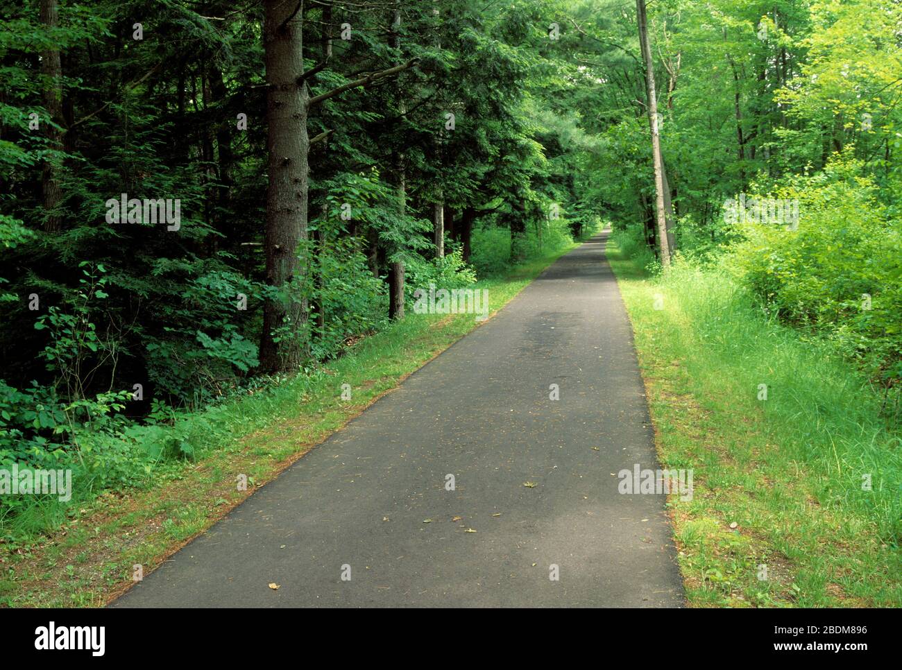 Rail trail, Norwottuck Rail Trail State Park, Massachusetts Stock Photo ...