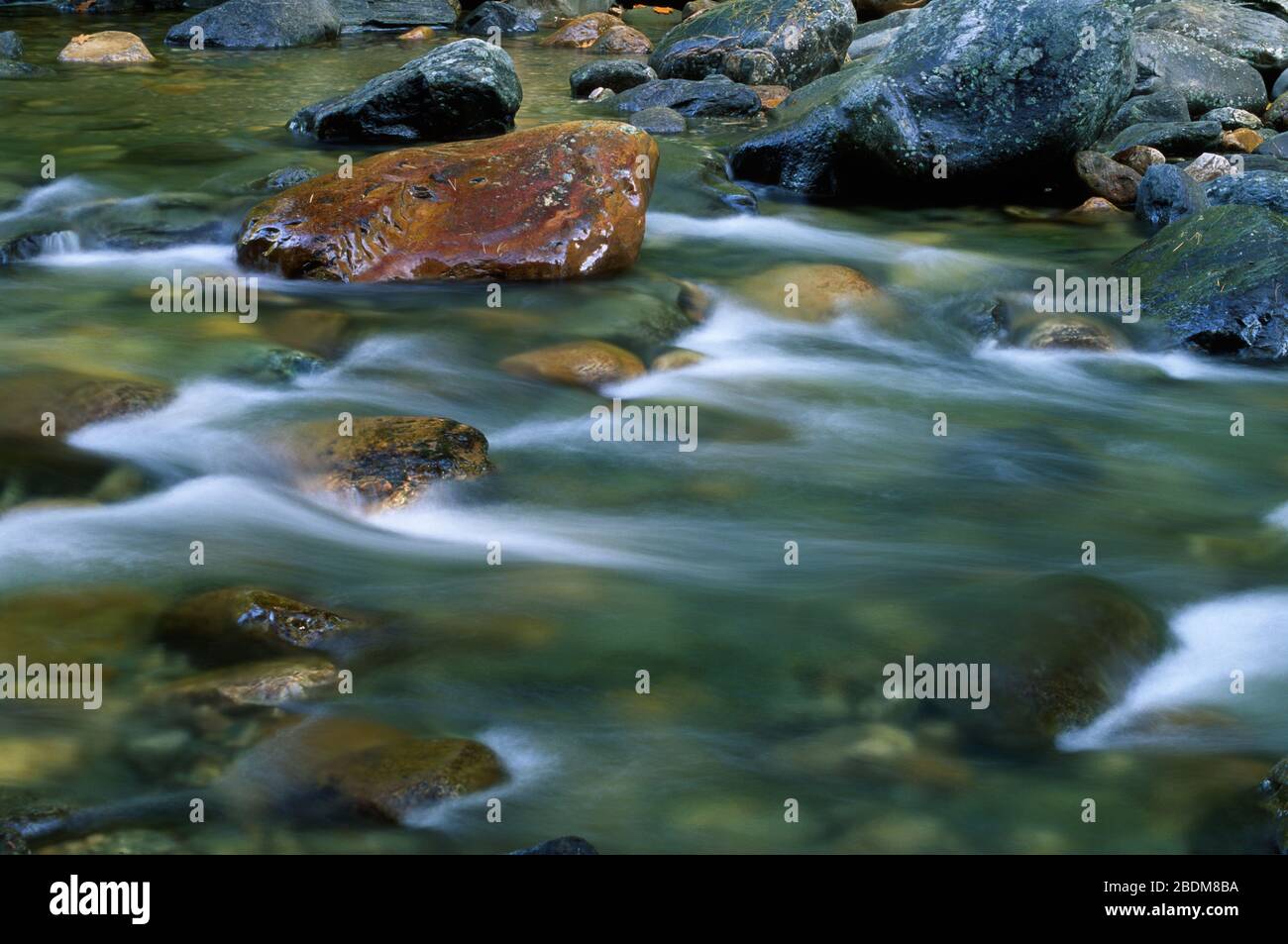 Cold River, Mohawk Trail State Forest, Massachusetts Stock Photo - Alamy