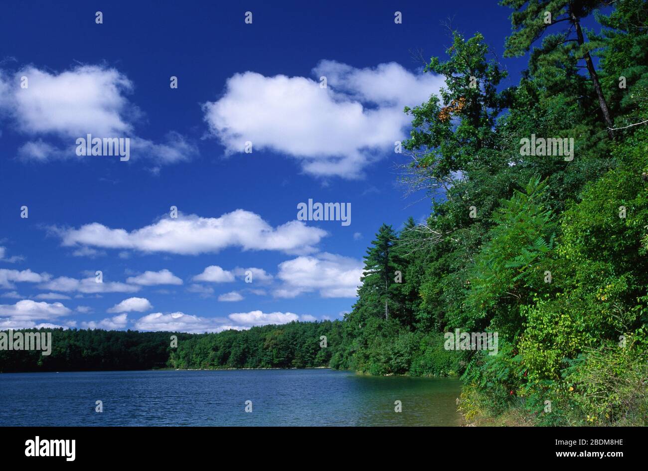 Walden Pond, Walden Pond State Reservation, Massachusetts Stock Photo ...