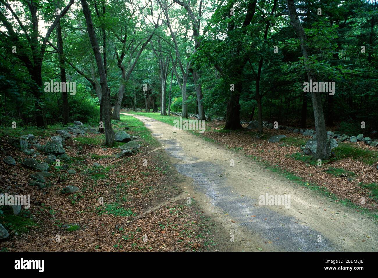 Battle road hi-res stock photography and images - Alamy