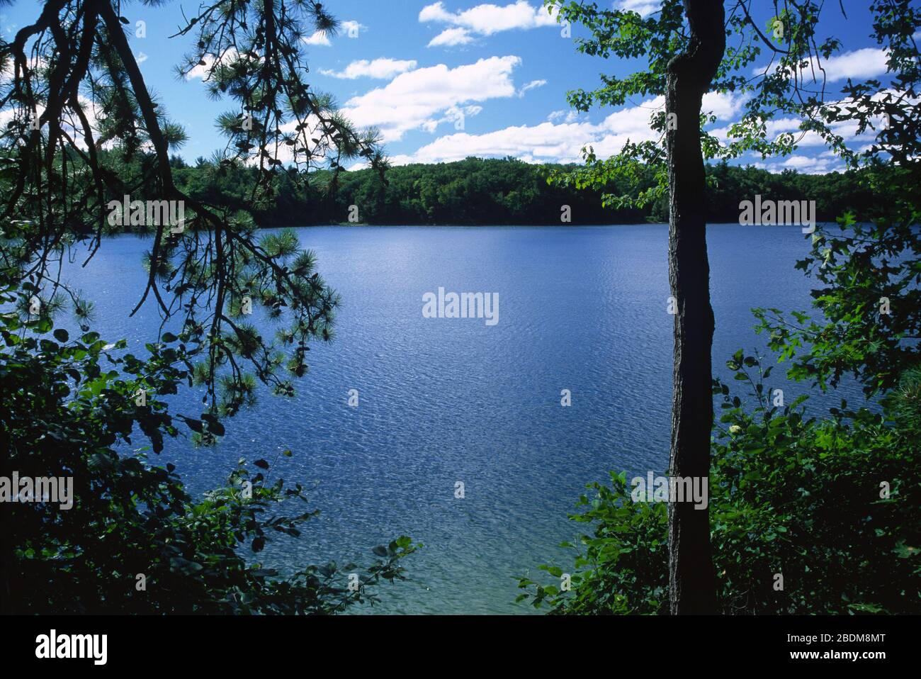 Walden Pond, Walden Pond State Reservation, Massachusetts Stock Photo ...
