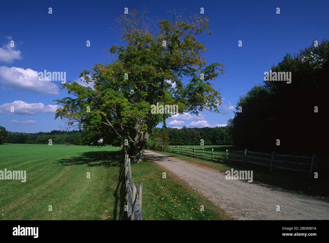 Bay Road Lane, Borderland State Park, Massachusetts Stock Photo - Alamy
