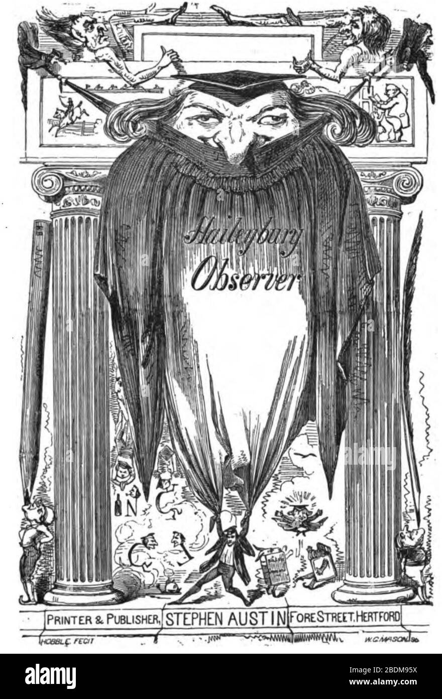 Observer Cut Out Stock Images & Pictures - Alamy