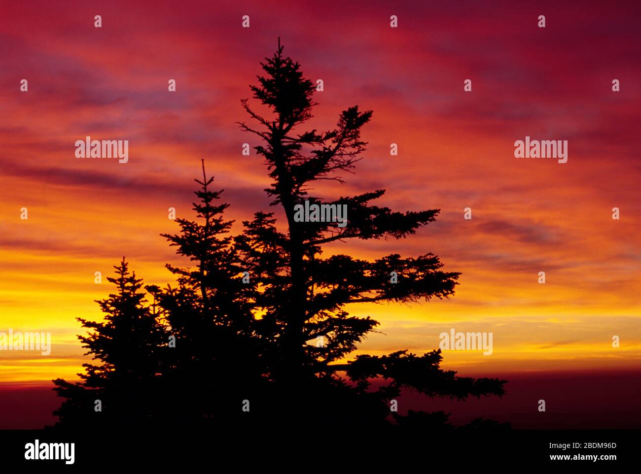 Summit sunrise, Mt Greylock State Reserve, Massachusetts Stock Photo ...