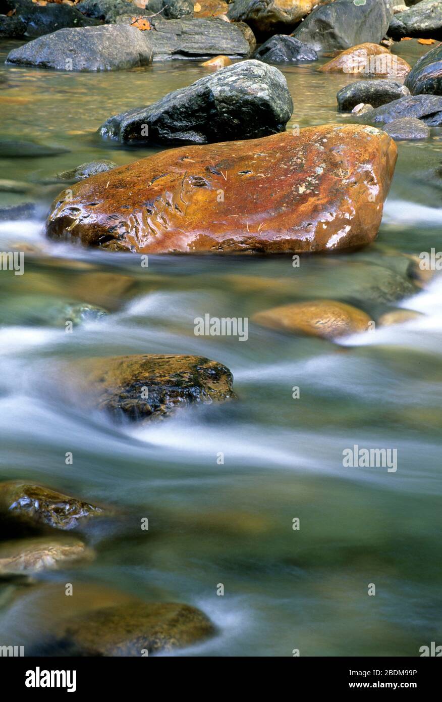 Cold River, Mohawk Trail State Forest, Massachusetts Stock Photo - Alamy
