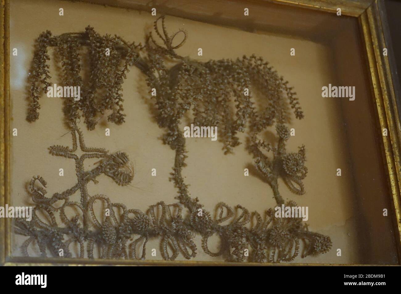 Hair art in shadow box, c. 19th century Stock Photo - Alamy