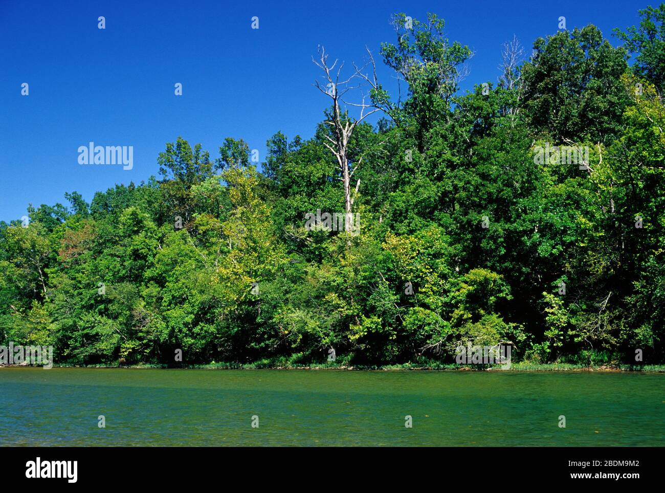 Current River, Ozark National Scenic Riverways, Missouri Stock Photo ...