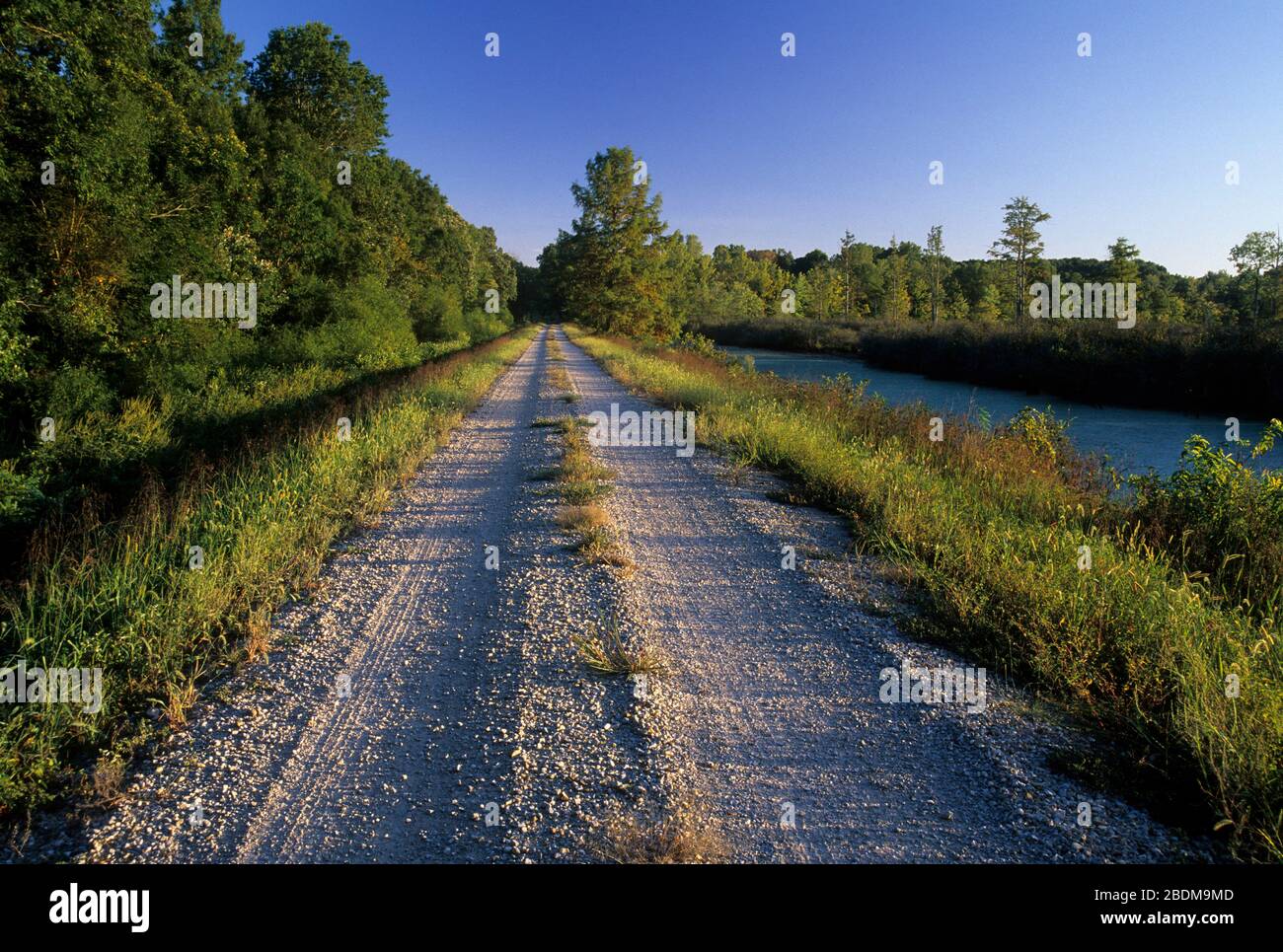 Red Mill Drive, Mingo National Wildlife Refuge, Missouri Stock Photo ...