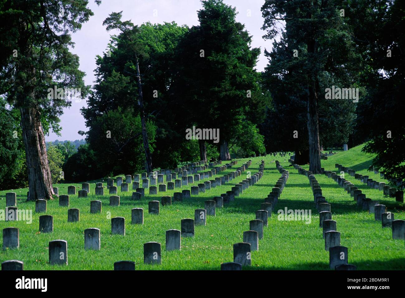 Grave rows, Vicksburg National Cemetery, Mississippi Stock Photo - Alamy